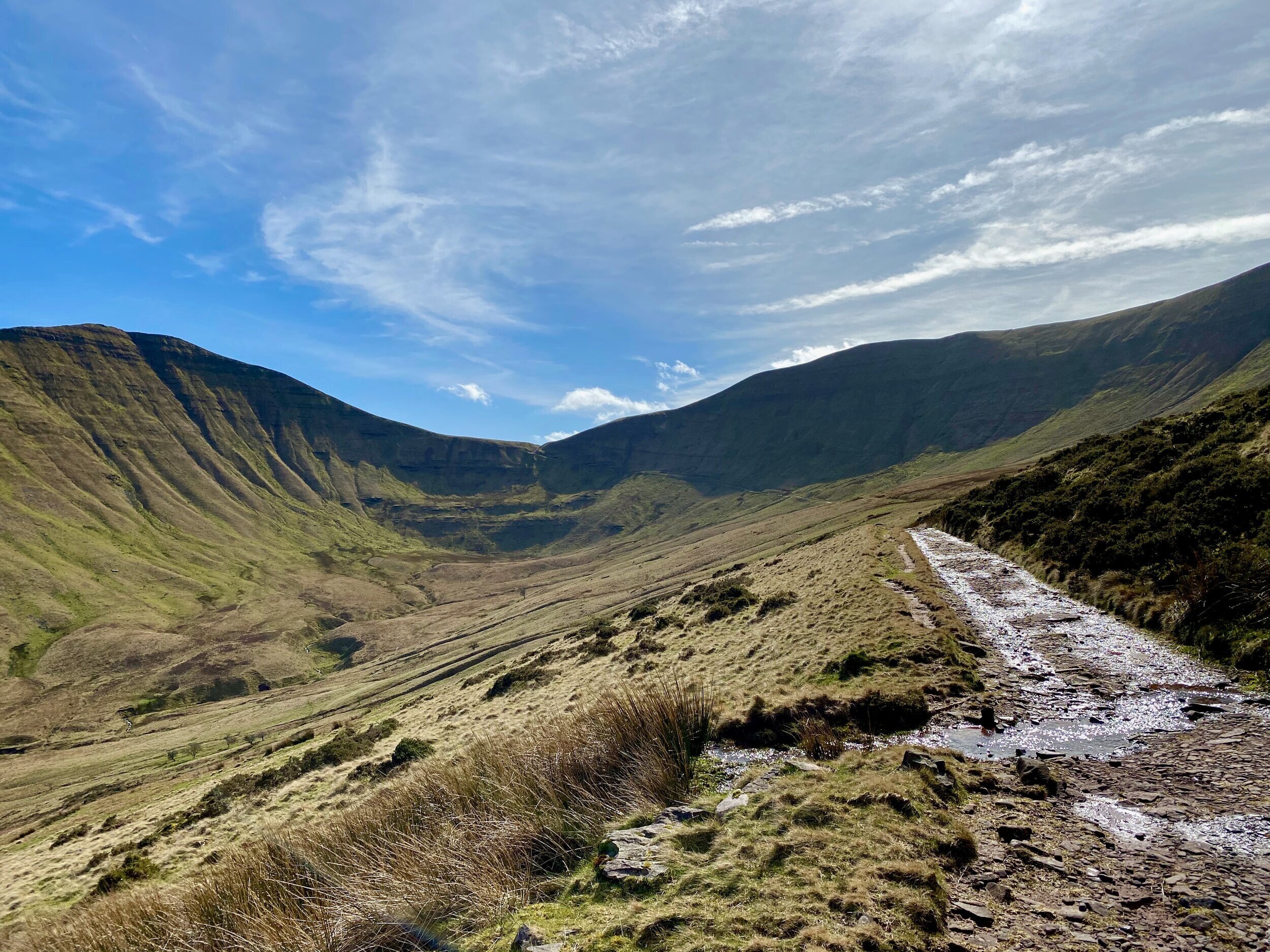 Tracks & Trails | Nicky Vadera